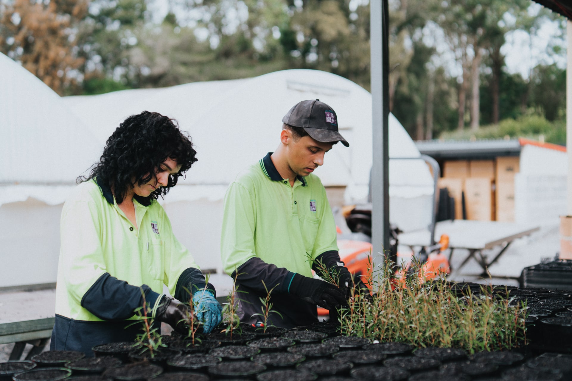 Wholesale plant supply and contract growing | Welcome to Jamberoo ...