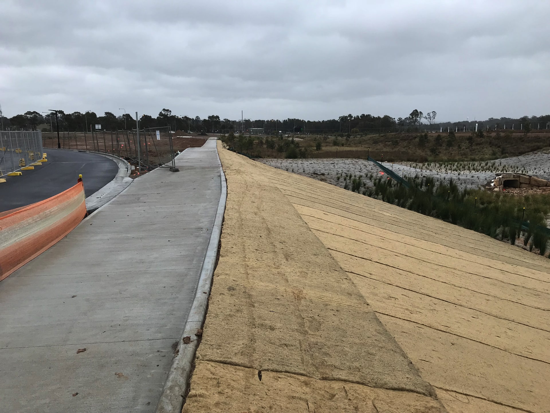 Berry Bypass | Welcome to Jamberoo Native Nursery